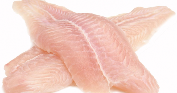 PANGASIUS ΦΙΛΕΤΟ